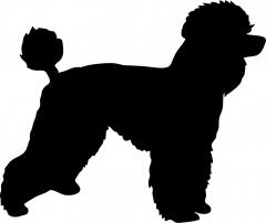Dog - Poodle Laser Cut Silhouette