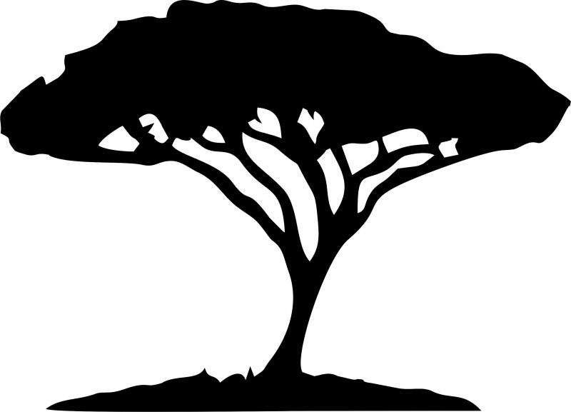 Acacia Tree Outline