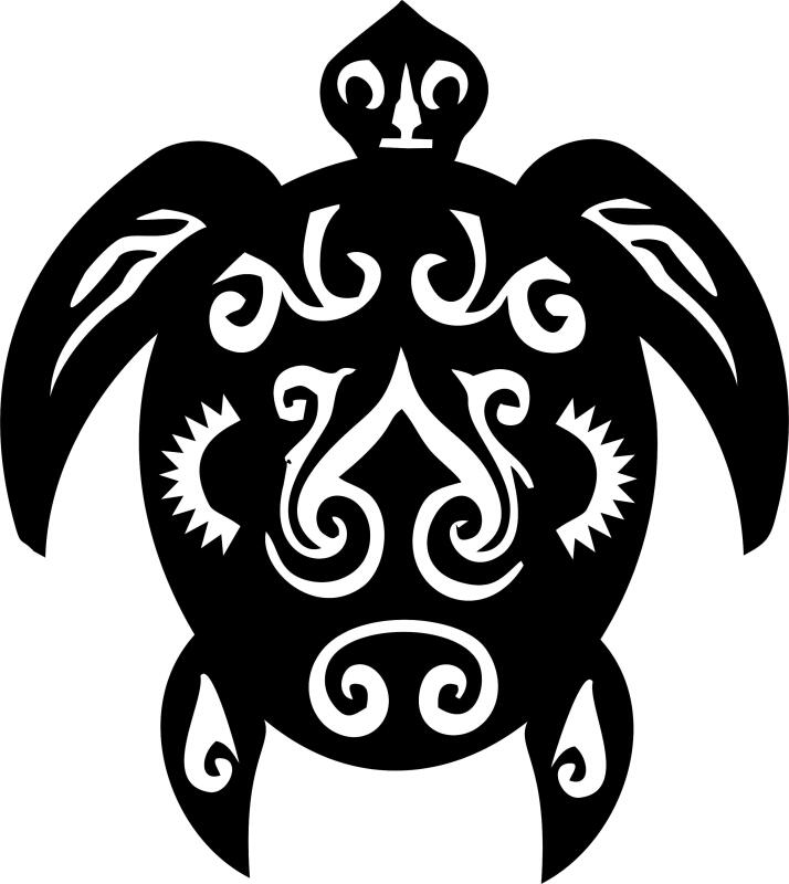 Native American Turtle Symbol Meaning